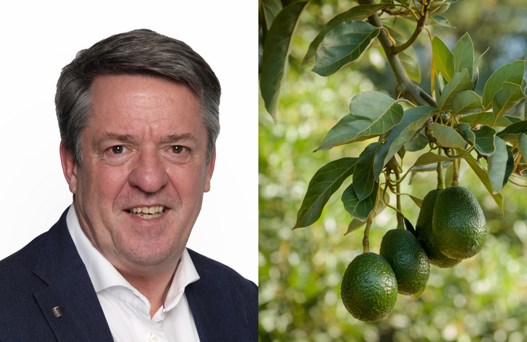 [Interview] Wim Destoop (Westfalia Fruit): "Don't let the avocado ...